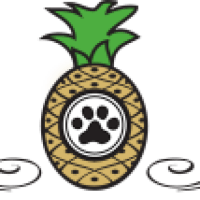 KSU Rabies Lab New FAVN Service – Caribbean Pet Jets