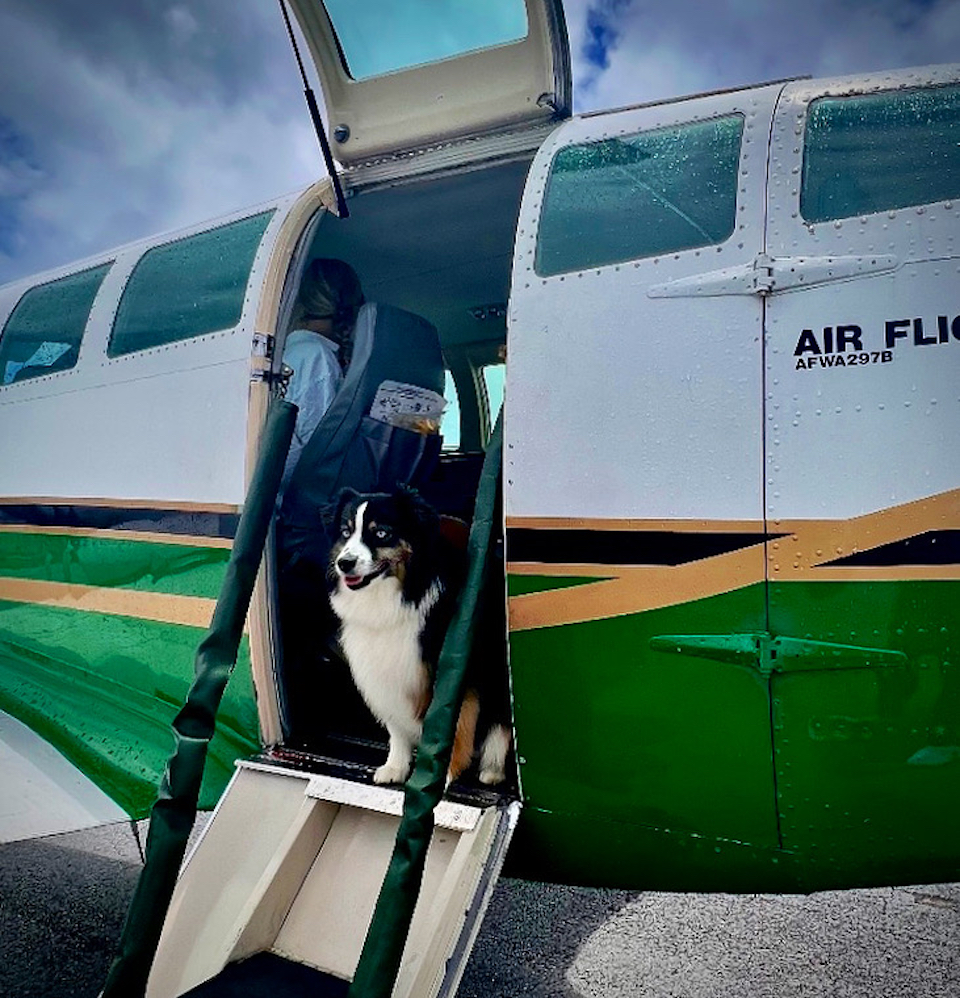 Aircraft – Caribbean Pet Jets