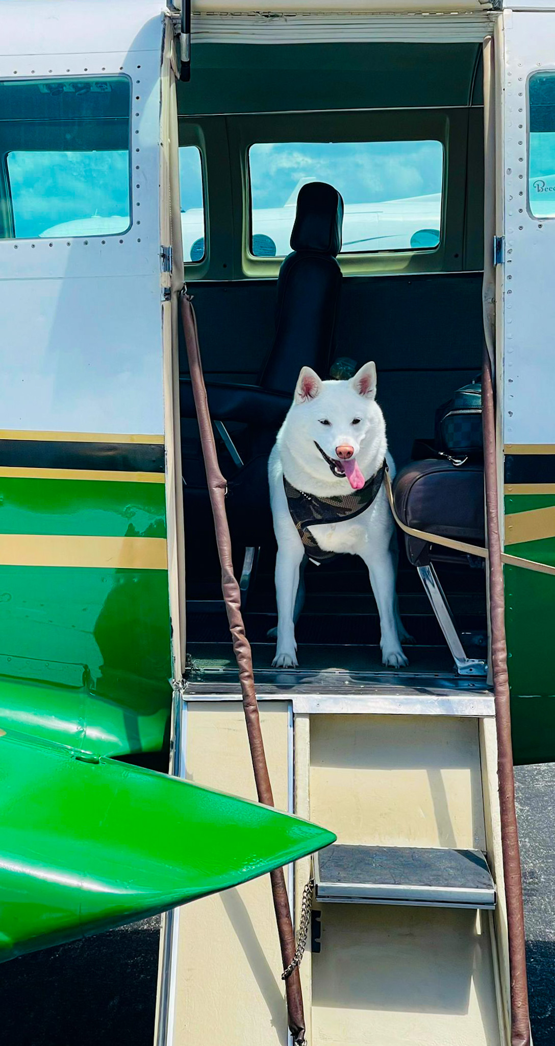 About – Caribbean Pet Jets